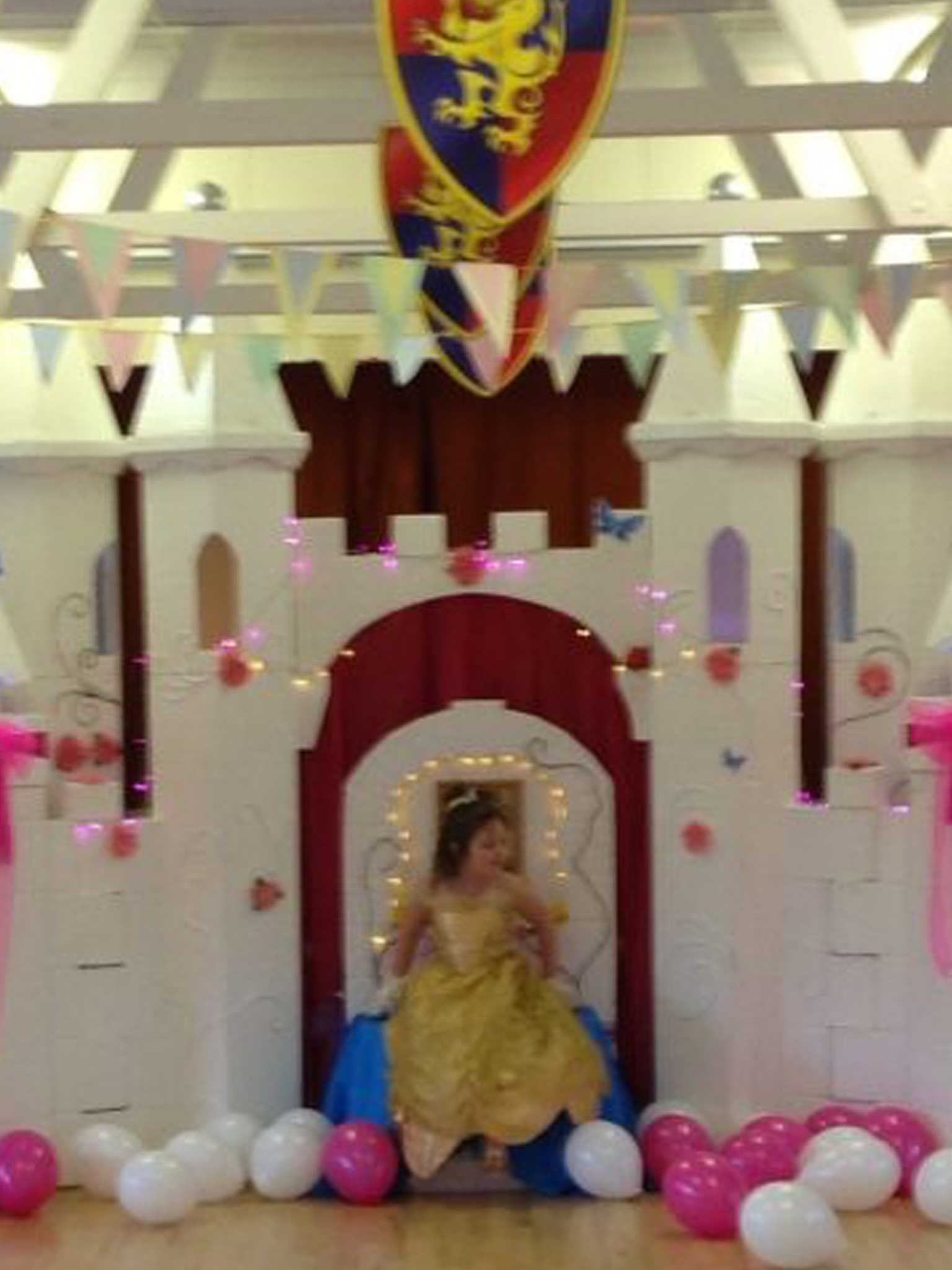 Exclusive Props Hire - Pink Pixie Parties